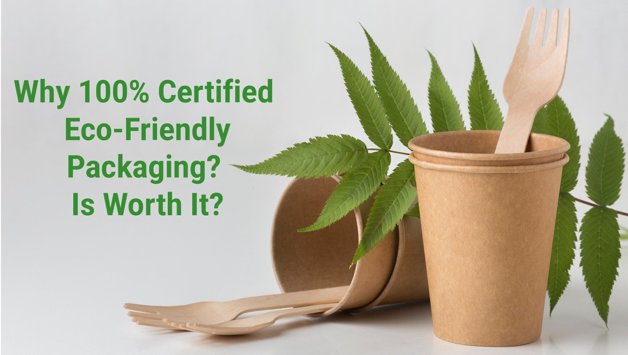 Why Certified Eco-Friendly Packaging Is Worth It | Packaging Wise